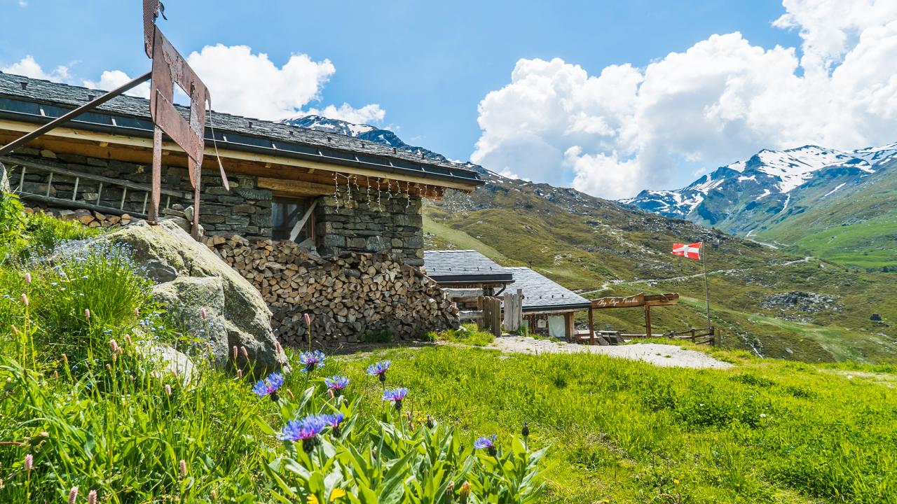 Visiting an Alpine farm in summer | Saint-Martin-de-Belleville